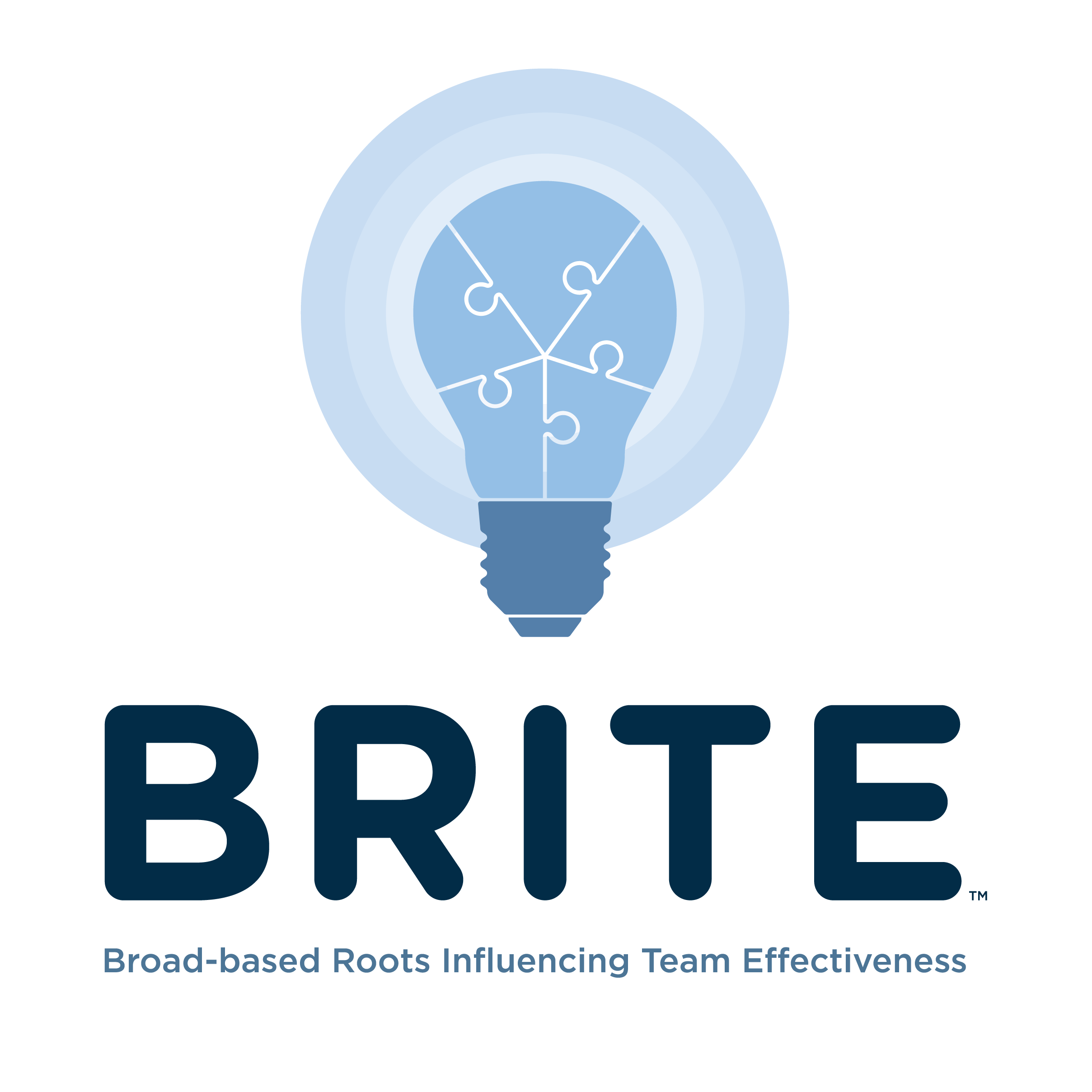 [ENGLISH] BRITE Team Assessment – Leadership Circle North America